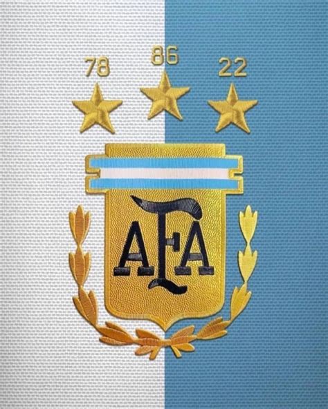 The Emblem For Argentina S National Team Is Shown In Gold And Blue With