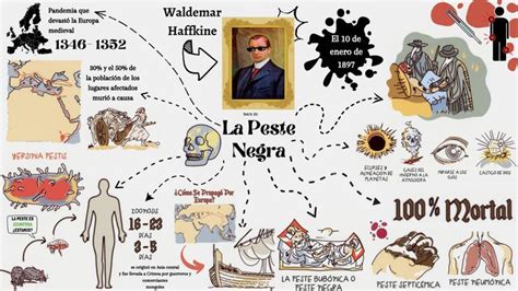LA PESTE NEGRA Mapa Mental Peste Negra Mapas Mentales Mapas