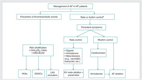 Management Of Atrial Fibrillation In Heart Failure Patients As