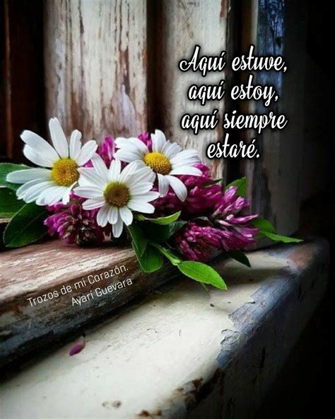 Coraline Mad Plants Rainbow Art Love Photography Real Quotes