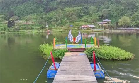 6 Aktivitas Menarik Di Agrowisata Kopi Rawa Gede Sukamakmur Bogor Review
