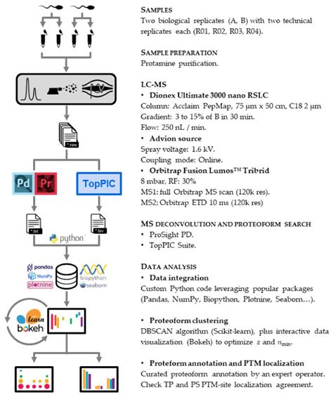 protamine characterization by top down proteomics boosting proteoform identification with