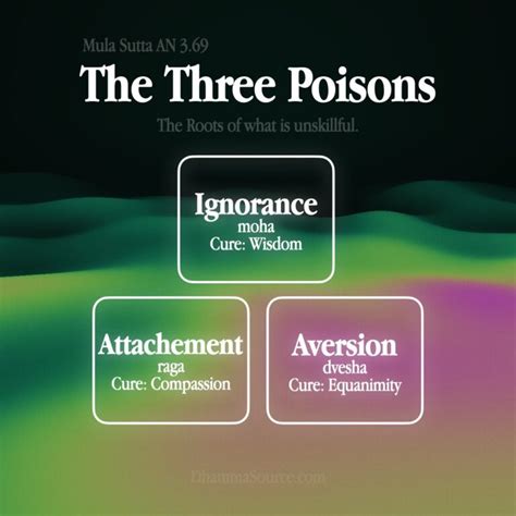 The Three Poisons Buddhism Dhamma Source