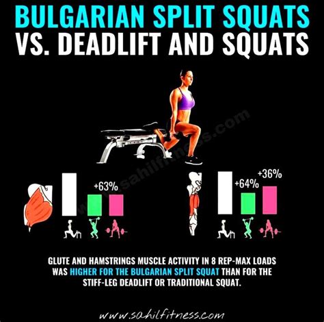 Bulgarian Split Squats Vs Deadlift And Squats Hamstring Muscles