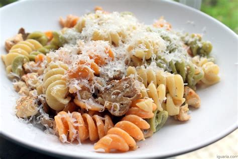 Fusilli de Frango Cogumelos Iguaria Receita e Culinária