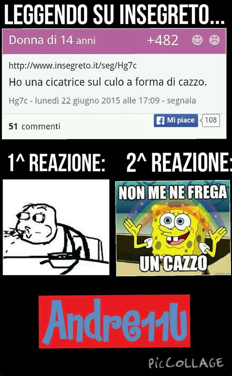 Meme Non Me Ne Frega BlaguesML