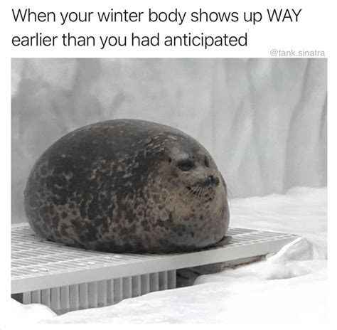 Painfully Relatable Memes That Ll Make You Feel Seen Artofit