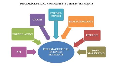 Pharmaceutical Companies Business Model StudiousGuy
