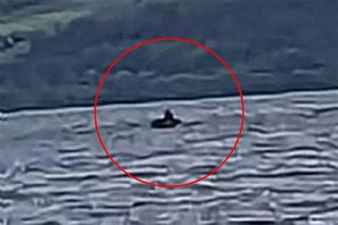 Loch Ness Monster Experts Convinced Something S Out There After Eight
