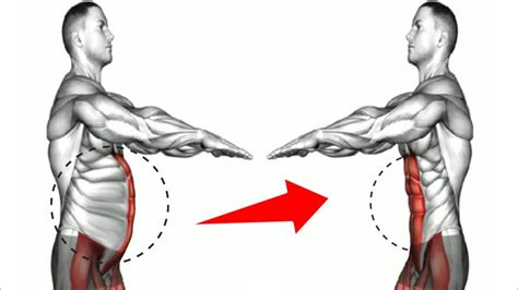 fondre la graisse du ventre et libérer vos abdominaux YouTube
