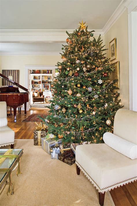 Comment Choisir Son Sapin De No L Conseils De Pro Pour Lire Son Conif Re