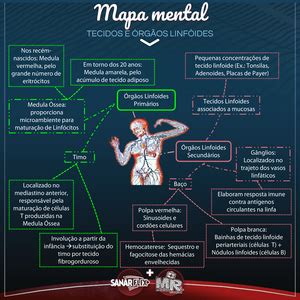 Mapa Mental I A Imunologia Imunidade Adquirida Mapa Mental Studocu