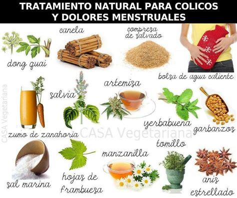 Plantas para hacer te y combatir cólicos Te para colicos menstruales