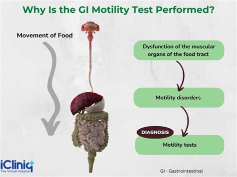What Is Gastrointestinal Motility Test