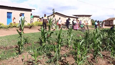 Tv Rwanda On Twitter Hari Abaturage Bo Muri Huyedistrict Biganjemo