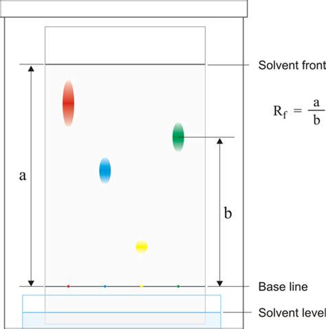 Organic Chemistry Lab Final Flashcards Quizlet