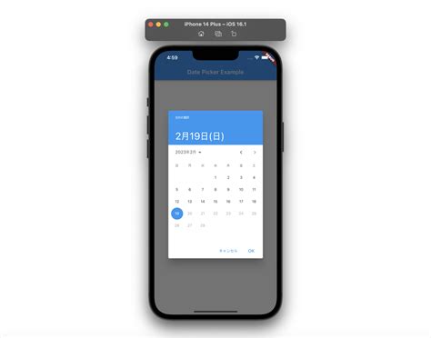 Flutter DatePicker Let S See How To Implement DatePicker For Users