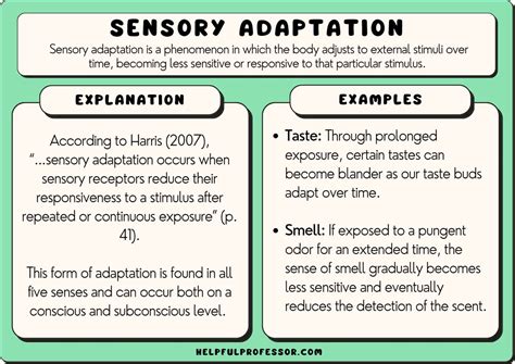 Sensory Adaptation 10 Examples And Definition 2024