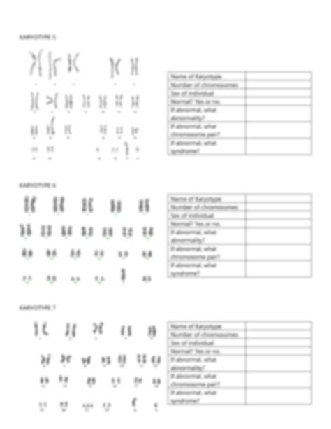 SOLUTION Karotype Evaluation Practice Studypool Worksheets Library
