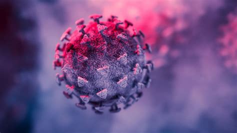 Coronavirus las dudas sobre la eficacia de las vacunas chinas y cómo