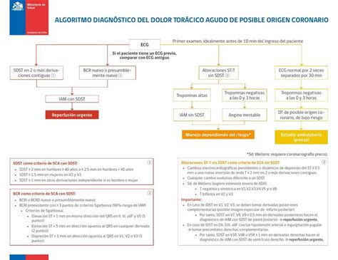 Algoritmo Diagn Stico Del Dolor Tor Cico Agudo Catalina Alejandra