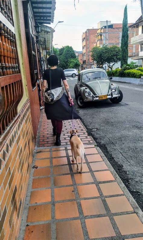 Reinaldo Spitaletta On Twitter Muchacha Con Su Mascota Estampa En El