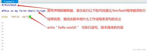 linux系统shell脚本 编程规范和变量详细解读（一） linux的shell脚本编程 csdn博客