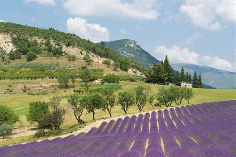 Les 3 plus beaux sites touristiques à visiter dans la Drôme Terres d