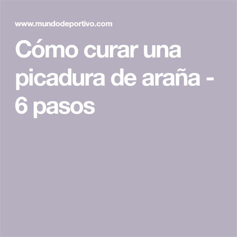 Cómo curar una picadura de araña 6 pasos Picaduras de araña