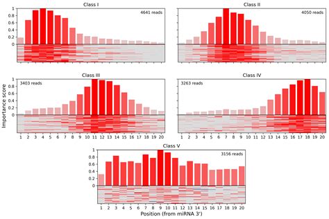 biology free full text using attribution sequence alignment to interpret deep learning