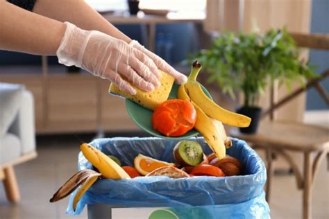 Qué es el desperdicio alimentario te explicamos todo lo que debes