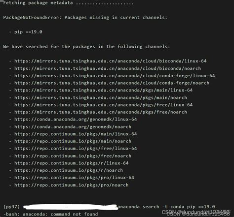 pip降级python版本 pip怎么降级 epeppanda的技术博客 51cto博客