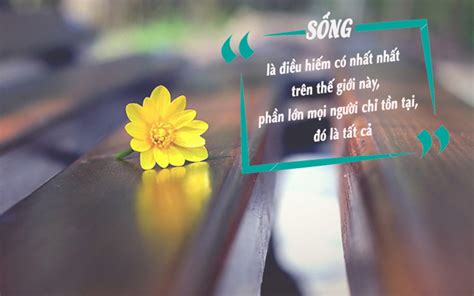 C U N I Hay V Cu C S Ng T Ch C C Stt T Ch C C V Cu C S Ng