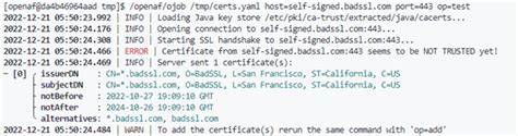 Testing Adding SSL TLS Certificates To A Java Keystore OpenAF Docs