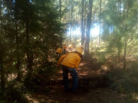 La Jornada Reportan 14 incendios forestales activos en Michoacán