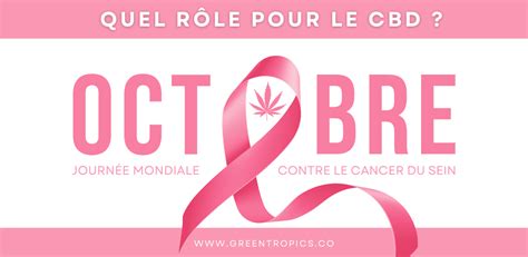 Journée mondiale contre le cancer du sein quel rôle pour le CBD