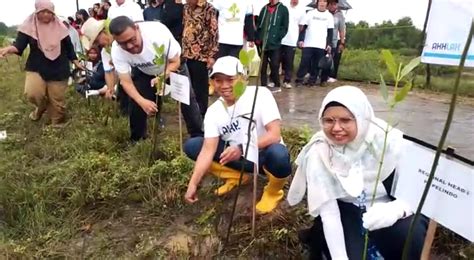 Lestarikan Ekosistem Pesisir Pelindo Multi Terminal SPMT Tanam 1 000