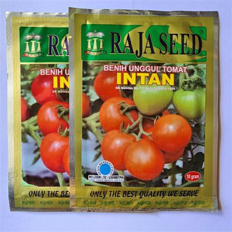Jual Isi 10gr Benih Tomat Intan Raja Seed Bibit Tomat Benih Buah