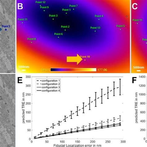 3 illustration of rigid vs non rigid registration using fluorescence download scientific