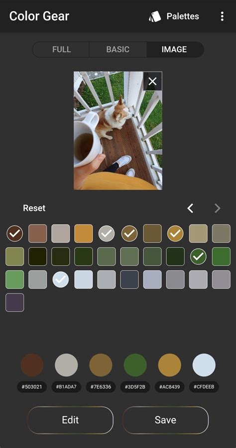 Extract Colors From Image App Ui Get Color Palette From Photo Color