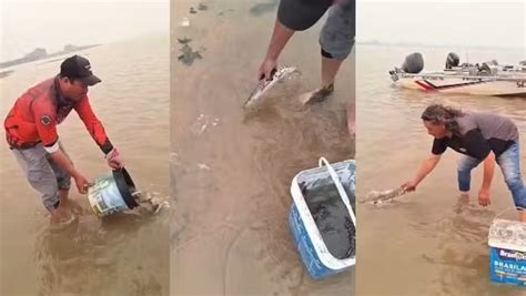 Pescadores salvam mais de 300 peixes sufocados em lamaçal no Rio