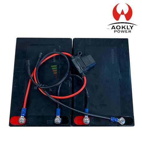 Kit baterías Movilidad 24 Voltios 14 Amperios 6DZM14 C Cables Batelsa
