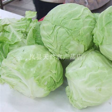 山西岚县新鲜蔬菜甘蓝包心菜卷心菜球菜包菜圆白菜大头甘蓝菜5斤 虎窝淘