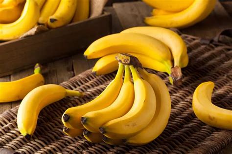 Manfaat Buah Pisang Bagi Kesehatan Tubuh Blog Info Dan Berita