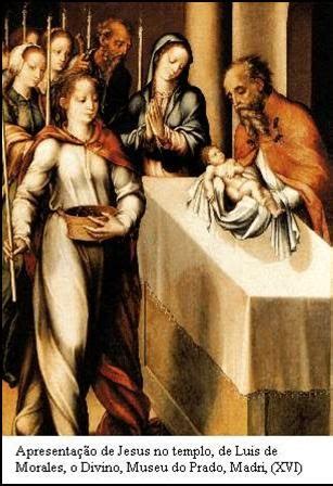 Caritas In Veritate Apresenta O De Jesus No Templo