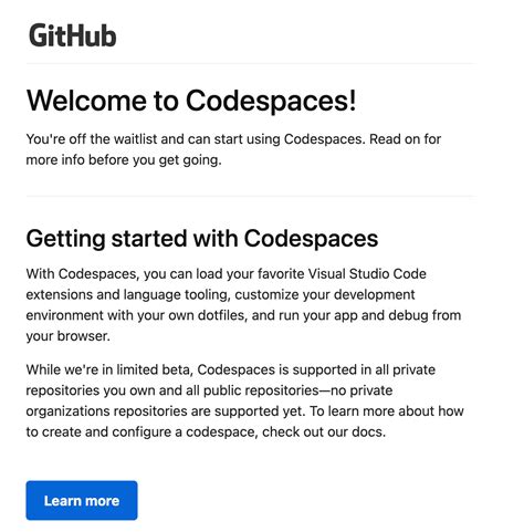 github codespaces 使用 verne in github