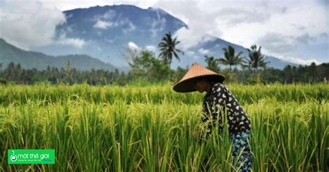 Thêm một du khách Nga đăng ảnh bán khỏa thân xúc phạm văn hóa bản địa ở