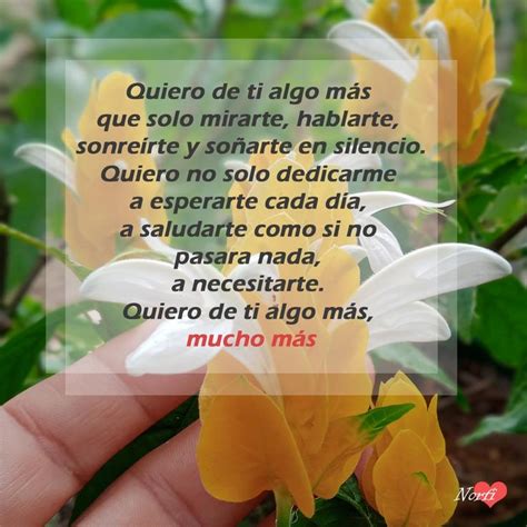 Poemas De Amor Para Decirle Que Es Todo Para Mi Fruit Cantaloupe