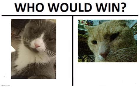 Who Would Win Imgflip