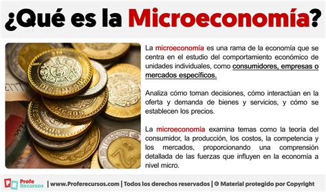 Qu Es La Microeconom A